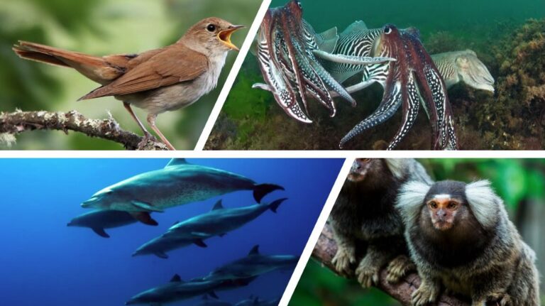 ARM vs. x86：两大CPU架构的较量 – Around Physics 物理边界