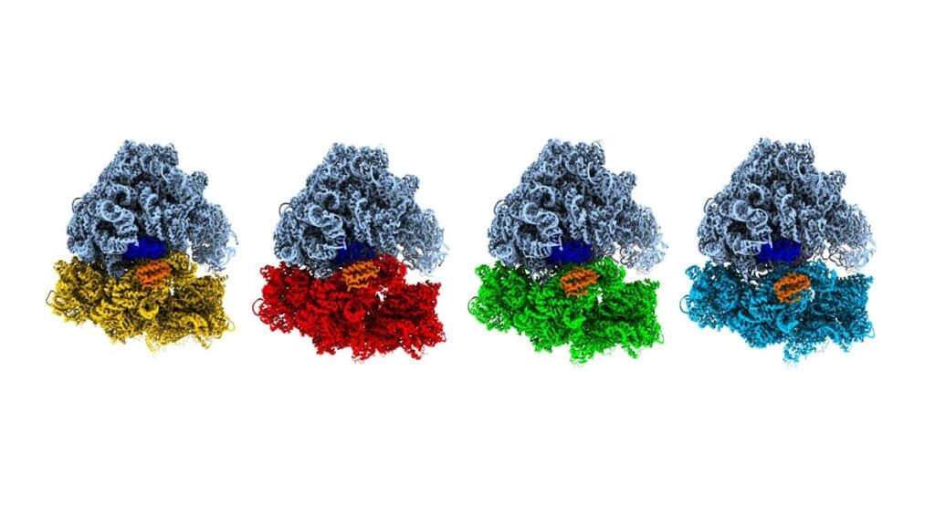 LC振荡电路简史：原理、应用与技术的演进 – Around Physics 物理边界