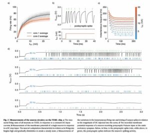 向大脑学习：TEXEL 类脑处理器与后 CMOS 时代的计算革命 – Around Physics 物理边界